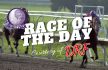 The Free PPs » Free Past Performances for Horseplayers