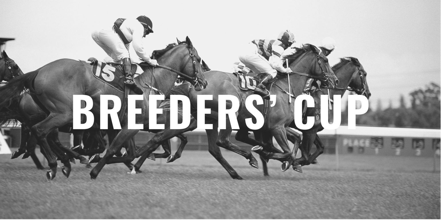 Breeders' Cup Contenders Fire Final Bullets: Sharp Workouts Signal Peak ...