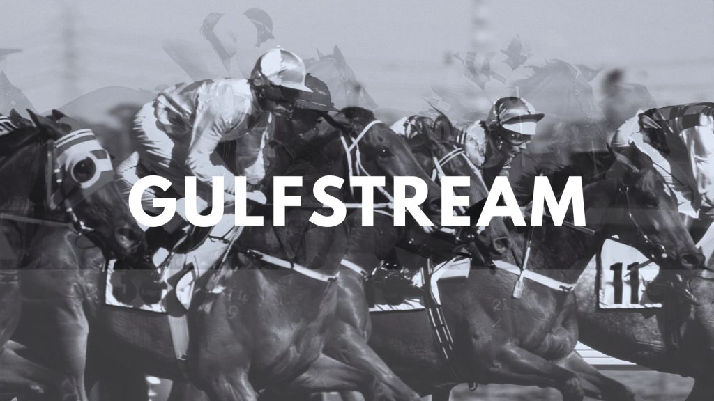 Pegasus World Cup 2026 Contenders, Odds, Analysis, Free PPs