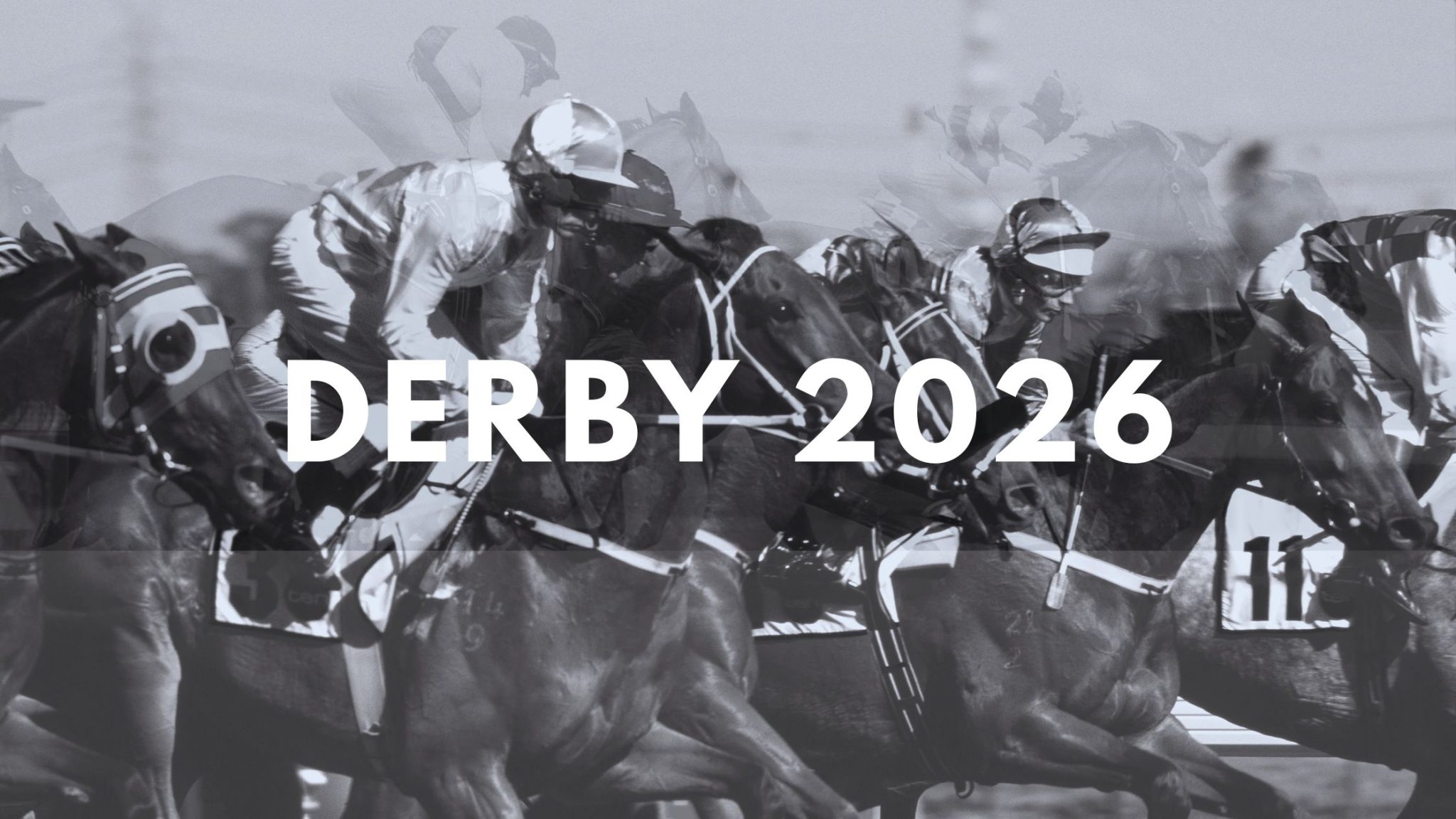 2026 Virginia Derby Picks: Official Field Analysis & OPI Scoreboard